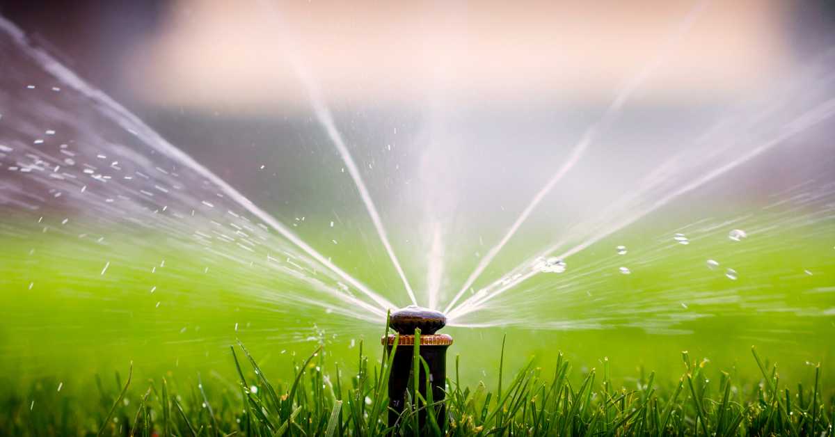 Signs Your Irrigation System Needs an Upgrade or Repair | AVS Landscaping