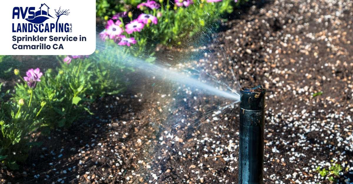 Sprinkler Service in Camarillo | AVS Landscaping